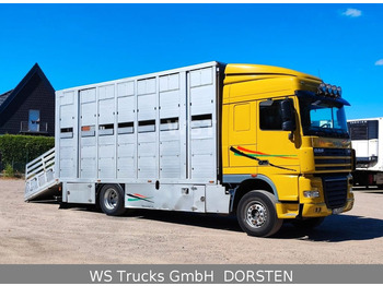 Грузовик для перевозки животных DAF XF 410 SC Menke Doppelstock из ...